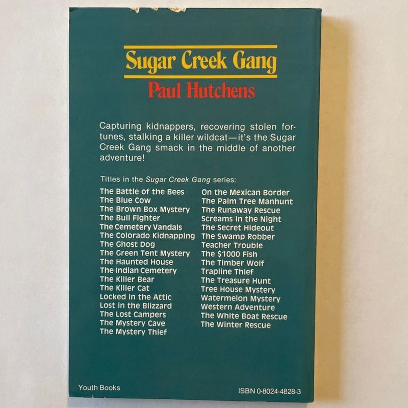 Runaway Rescue by Paul Hutchens