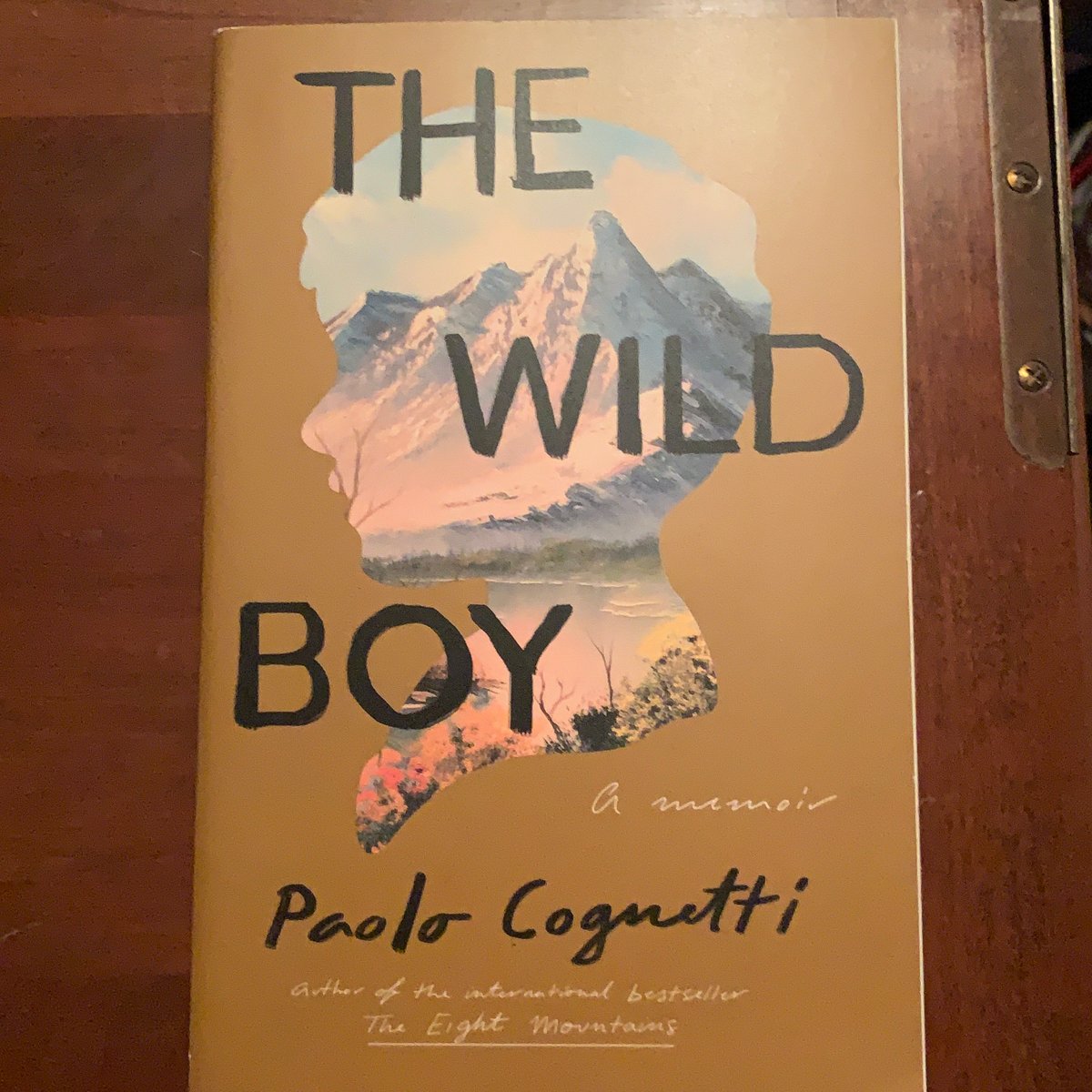 The Wild Boy by Paolo Cognetti