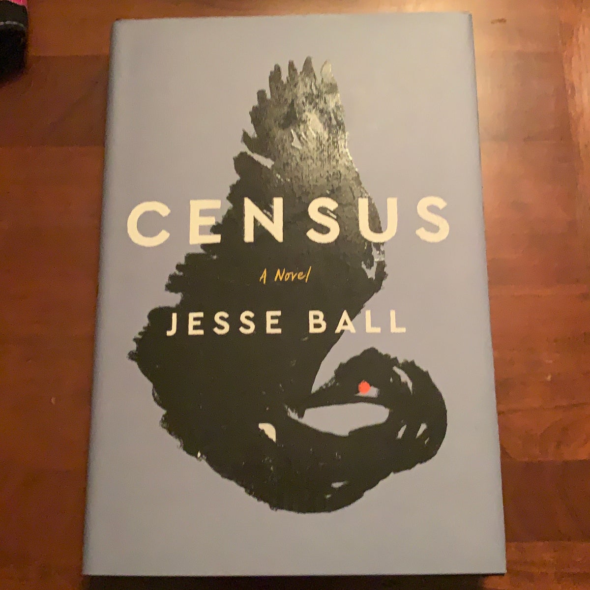 Census by Jesse Ball