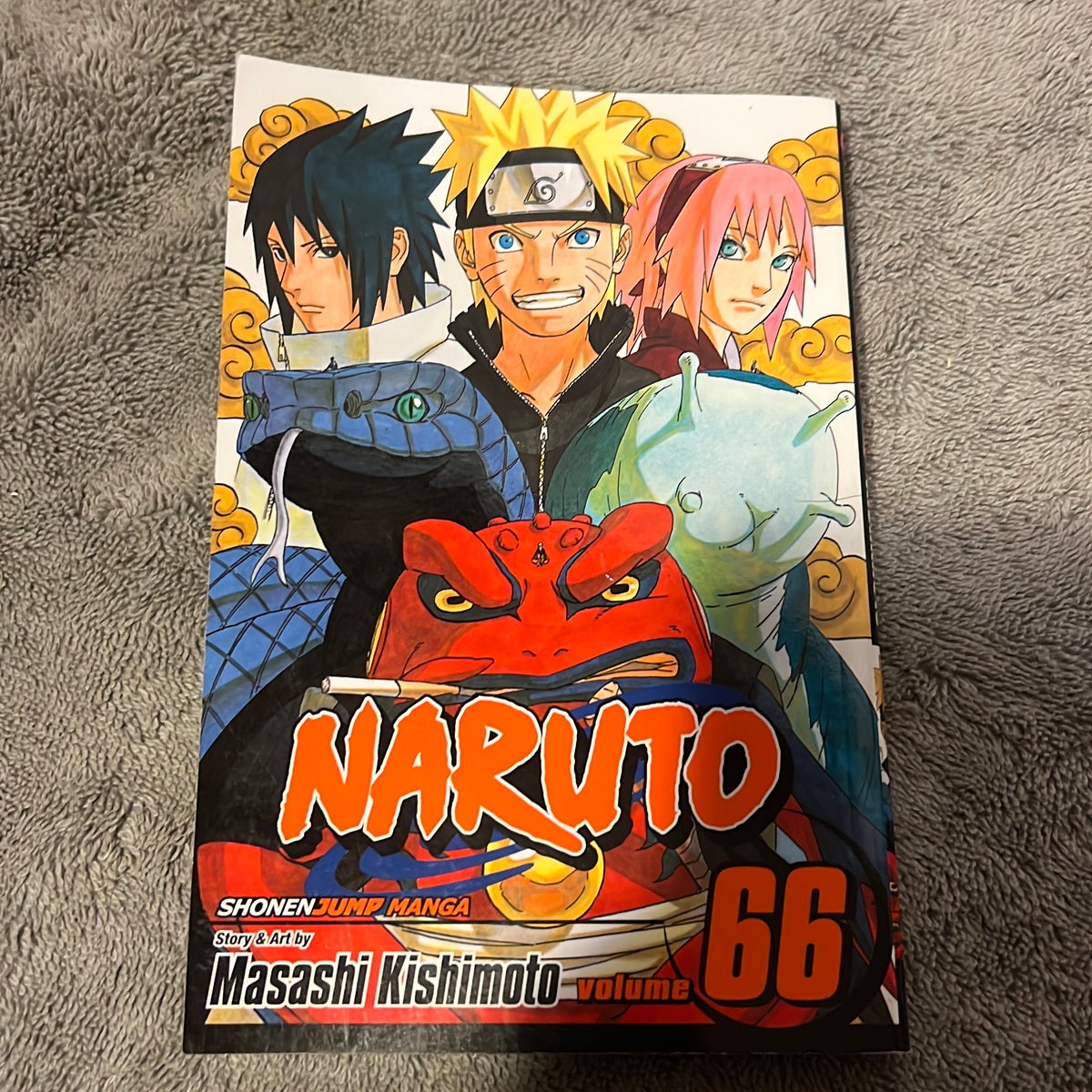 Naruto, Vol. 66 by Masashi Kishimoto