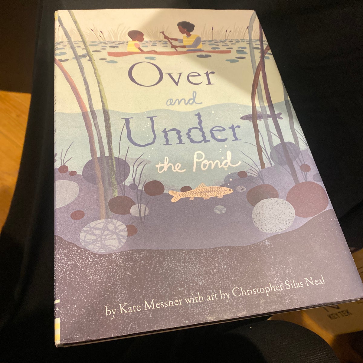 Over and under the Pond by Kate Messner