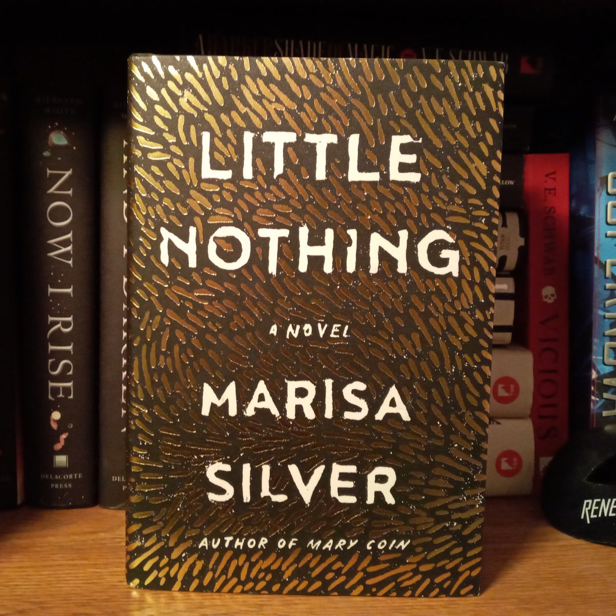 Little Nothing by Marisa Silver, Hardcover | Pangobooks