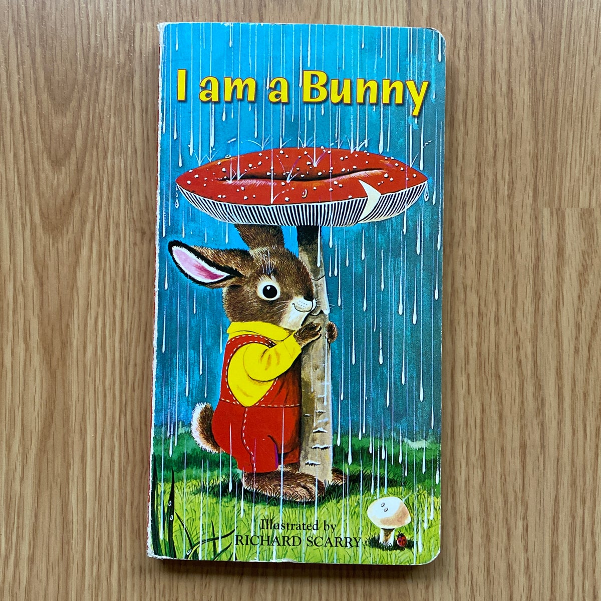 I Am a Bunny by Ole Risom, Hardcover | Pangobooks