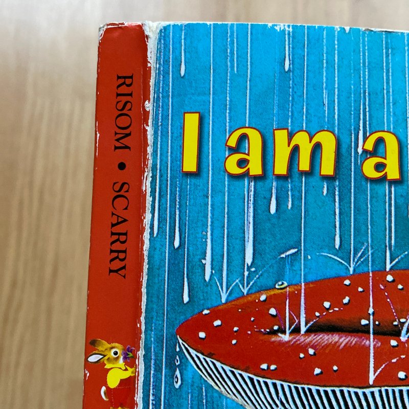 I Am a Bunny by Ole Risom, Hardcover | Pangobooks