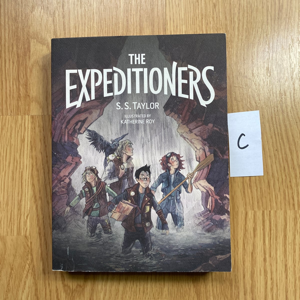 The Expeditioners and the Treasure of Drowned Man's Canyon by S. S ...