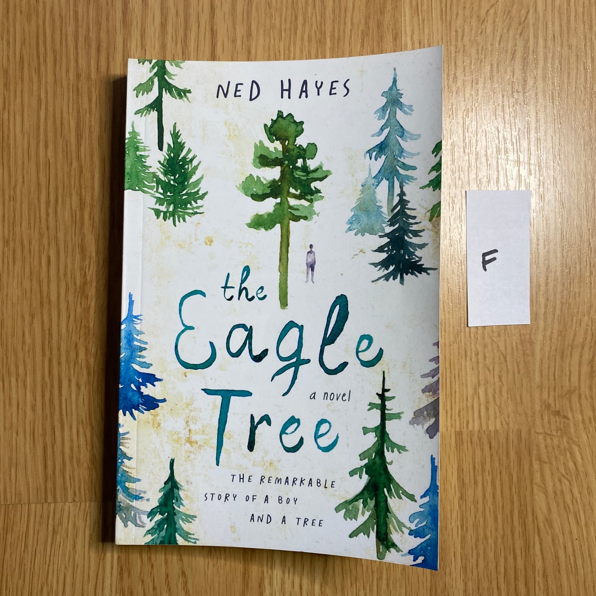 The Eagle Tree by Ned Hayes, Steve Silberman