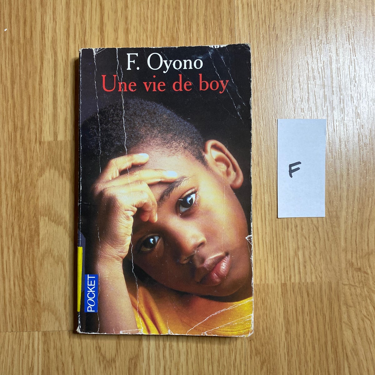 Une Vie de Boy by Ferdinand Oyono, Paperback | Pangobooks