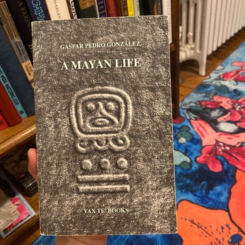 A Mayan Life by Gaspar P. González, Elaine Elliott