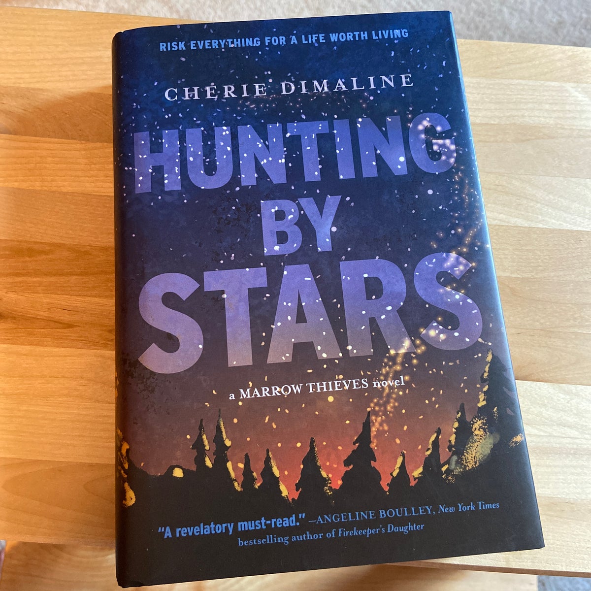 Hunting by Stars (a Marrow Thieves Novel)