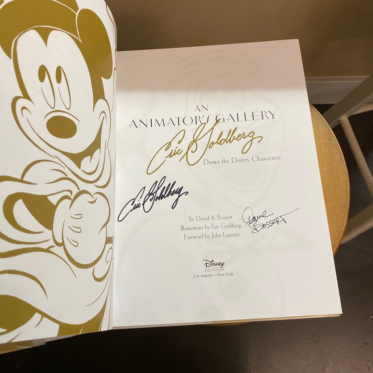 An Animator's Gallery by David Bossert