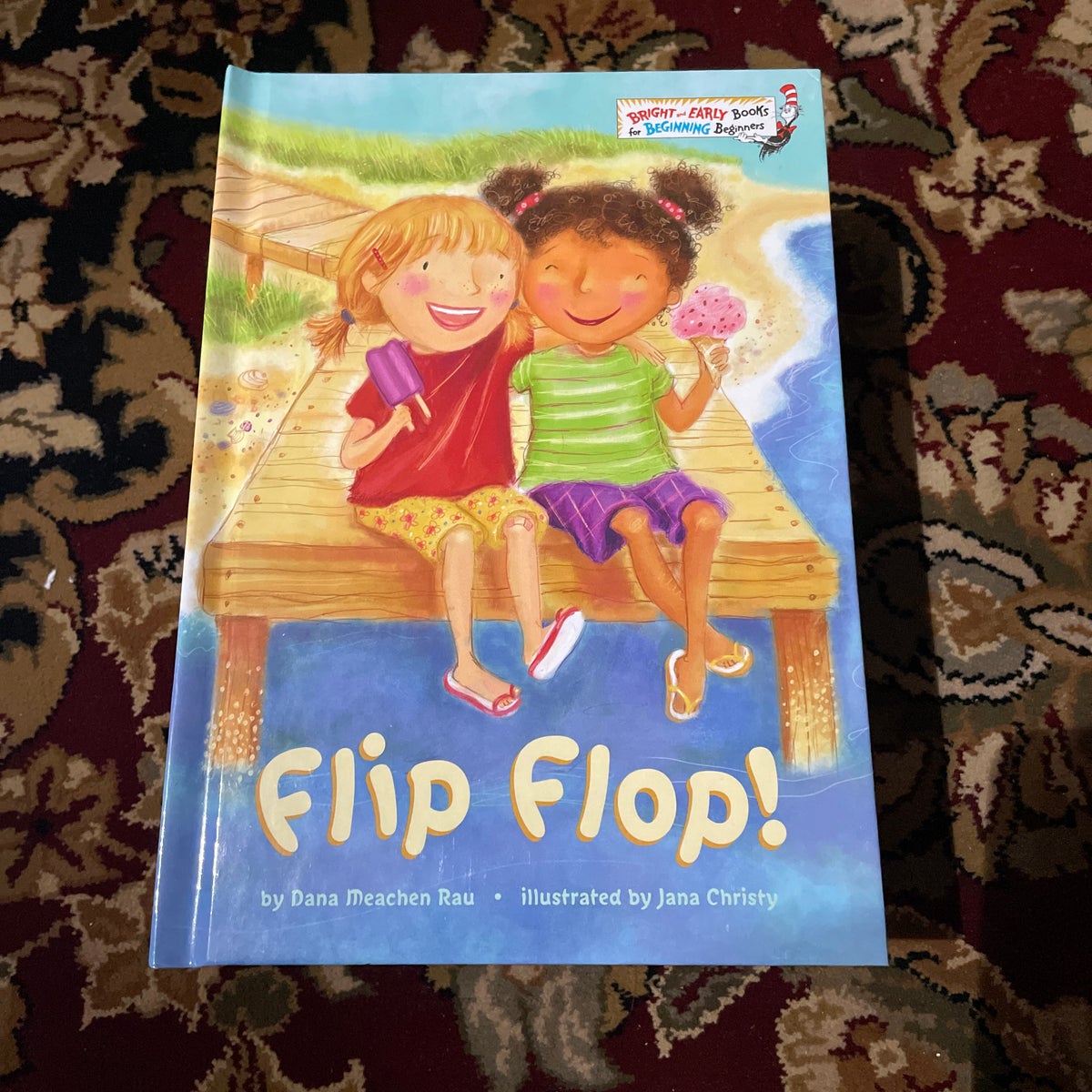 Flip Flop by Dana Meachen Rau, Hardcover | Pangobooks