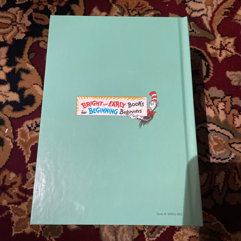 Flip Flop by Dana Meachen Rau, Hardcover | Pangobooks