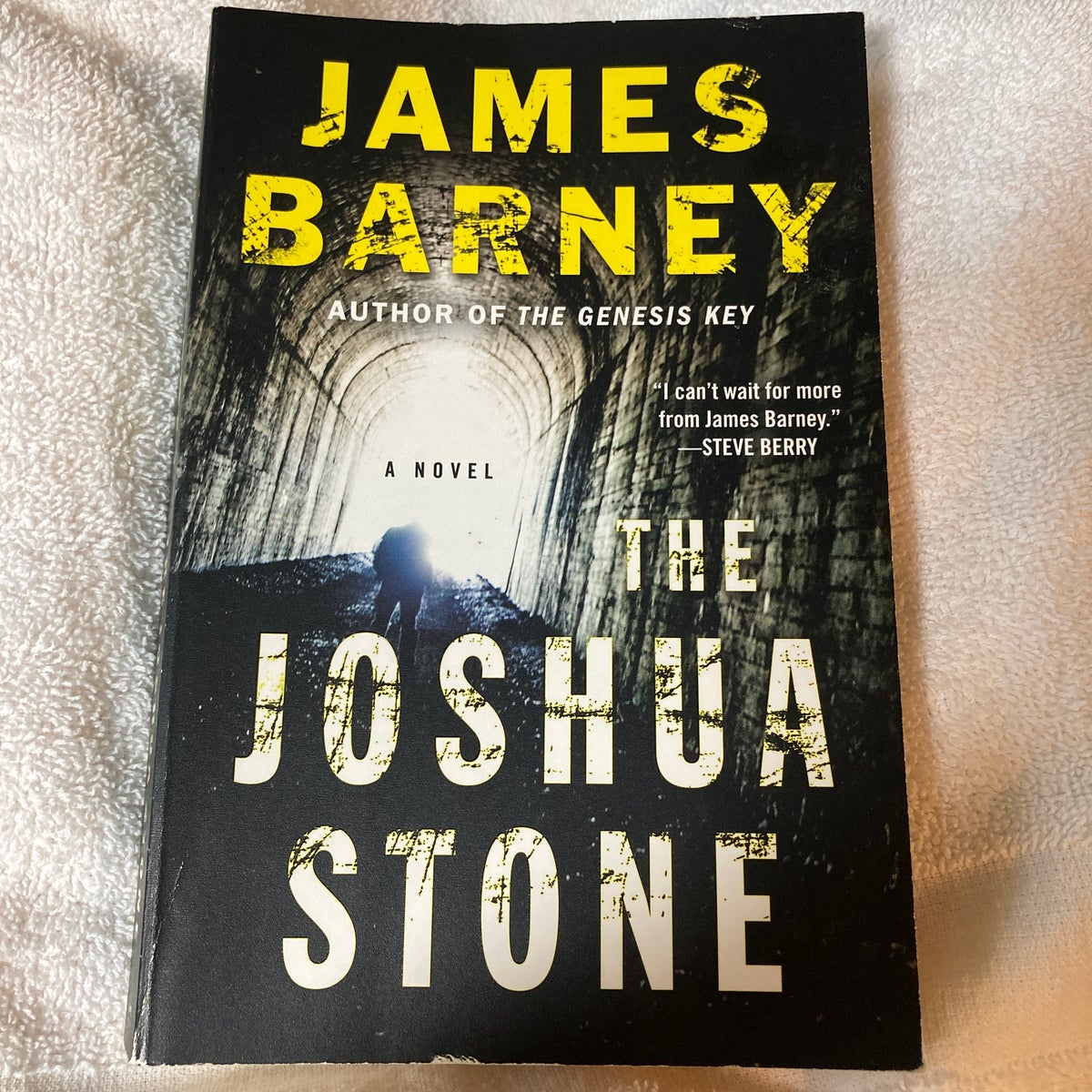 The Joshua Stone by James Barney