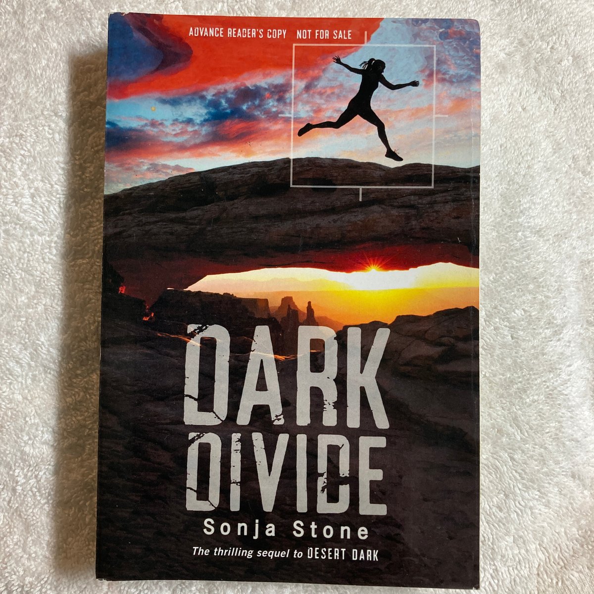 Dark Divide by Sonja Stone