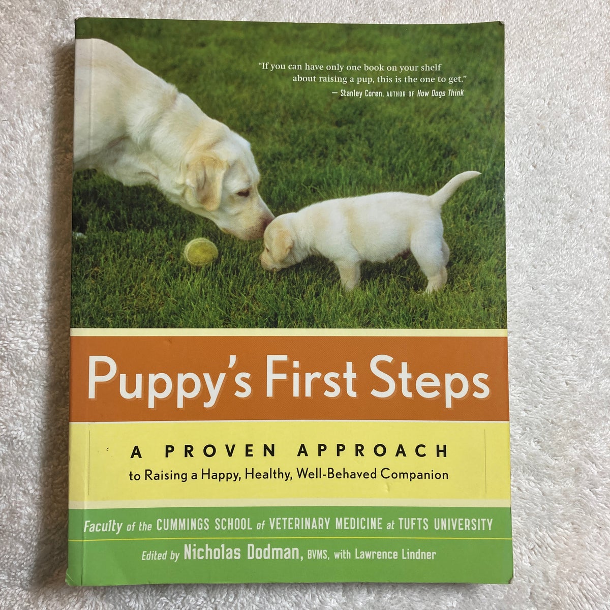Puppy's First Steps by Lawrence Lindner