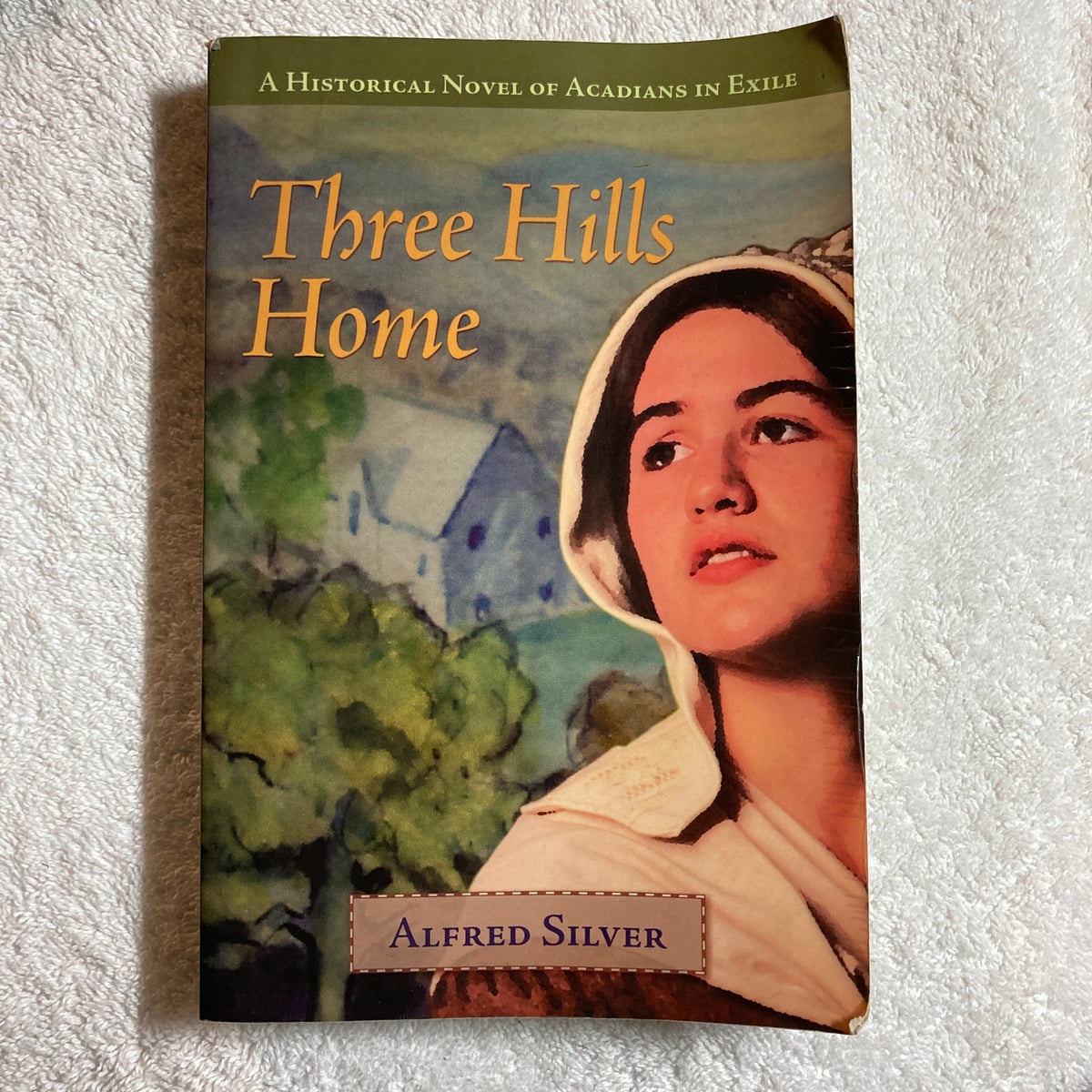 Three Hills Home by Alfred Silver