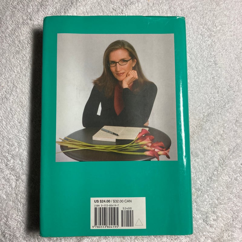 Sandcastles by Luanne Rice