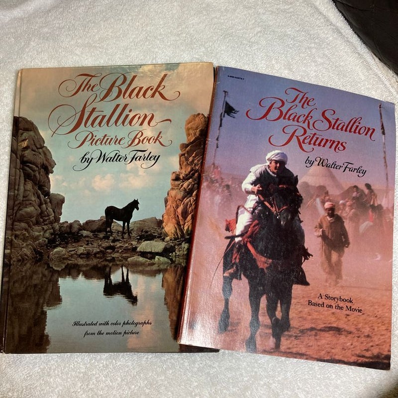 The Black Stallion Picture Book by Walter Farley