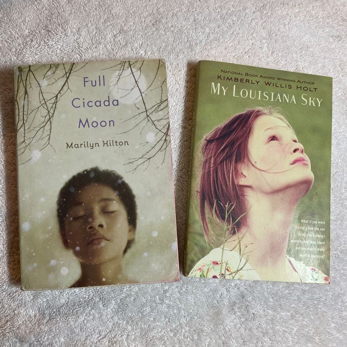 My Louisiana Sky by Kimberly Willis Holt