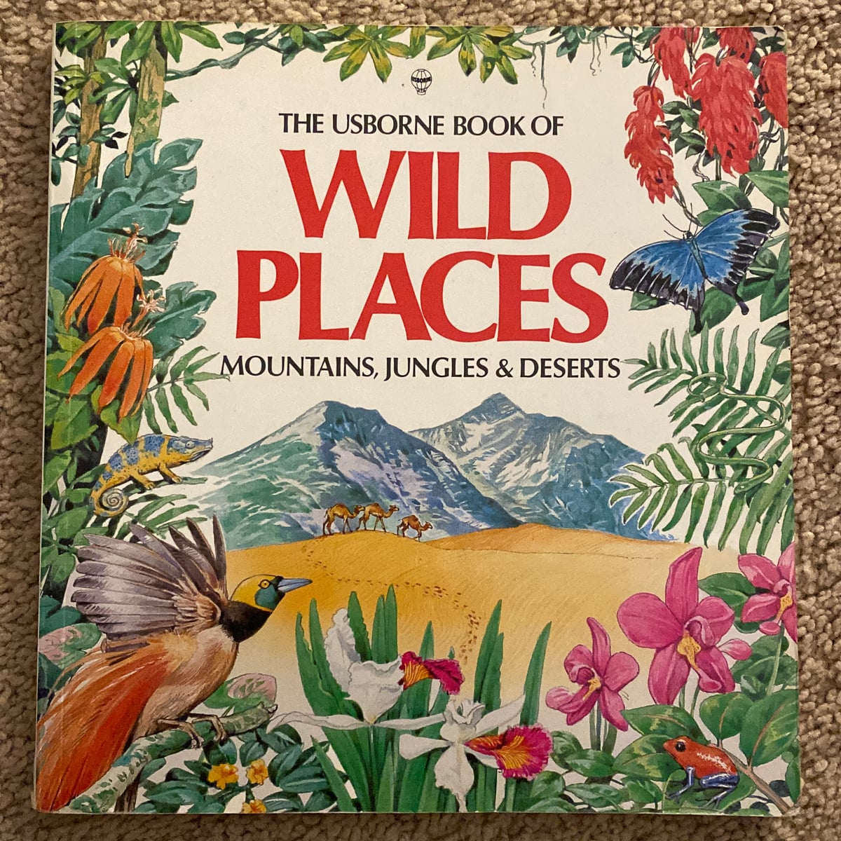 Wild Places by A. Wilkes