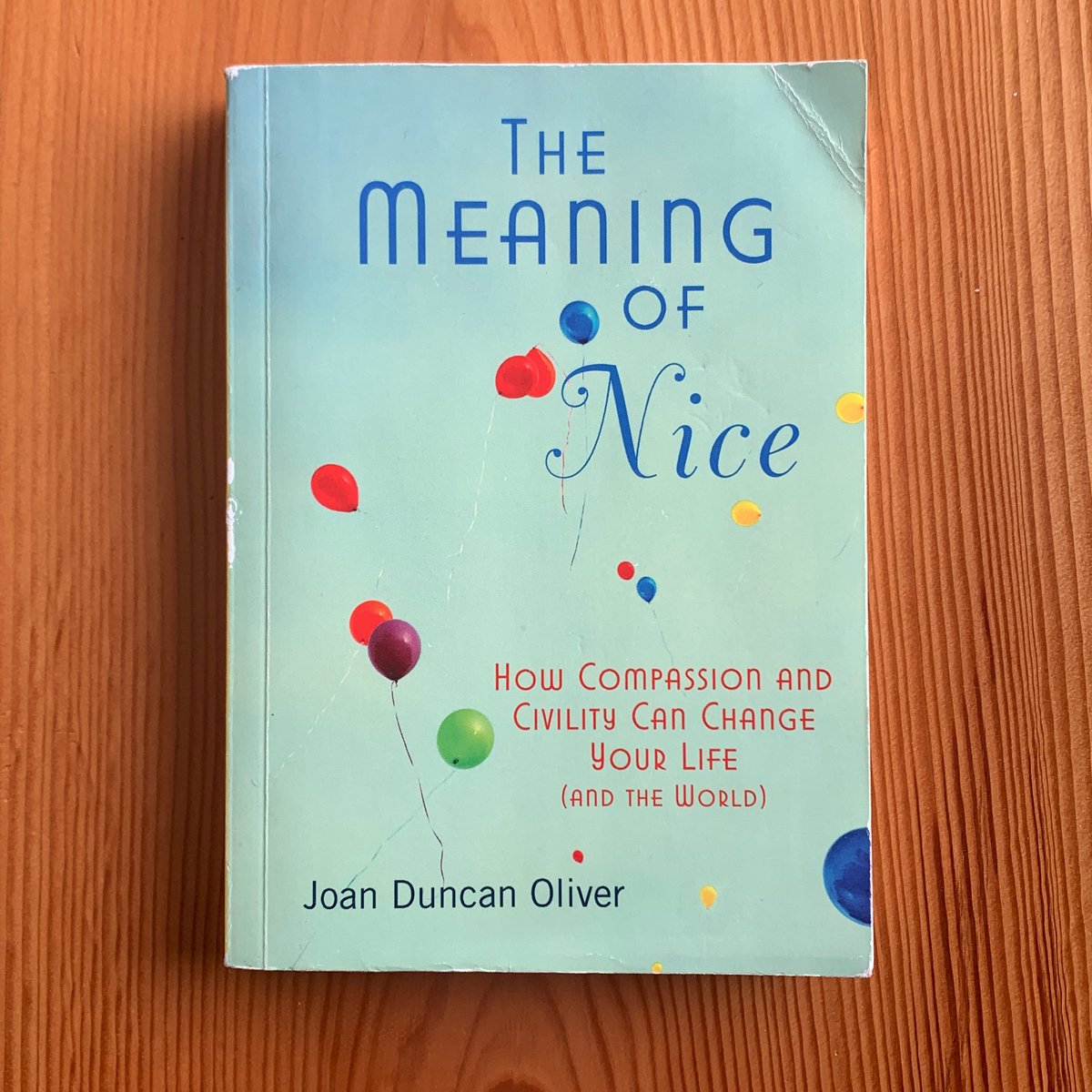 The Meaning of Nice by Joan Duncan Oliver