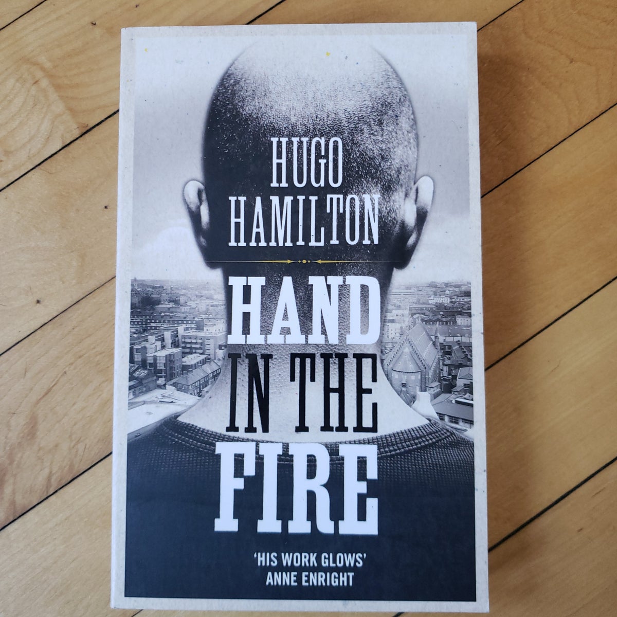 Hand in the Fire by Hugo Hamilton, Paperback | Pangobooks