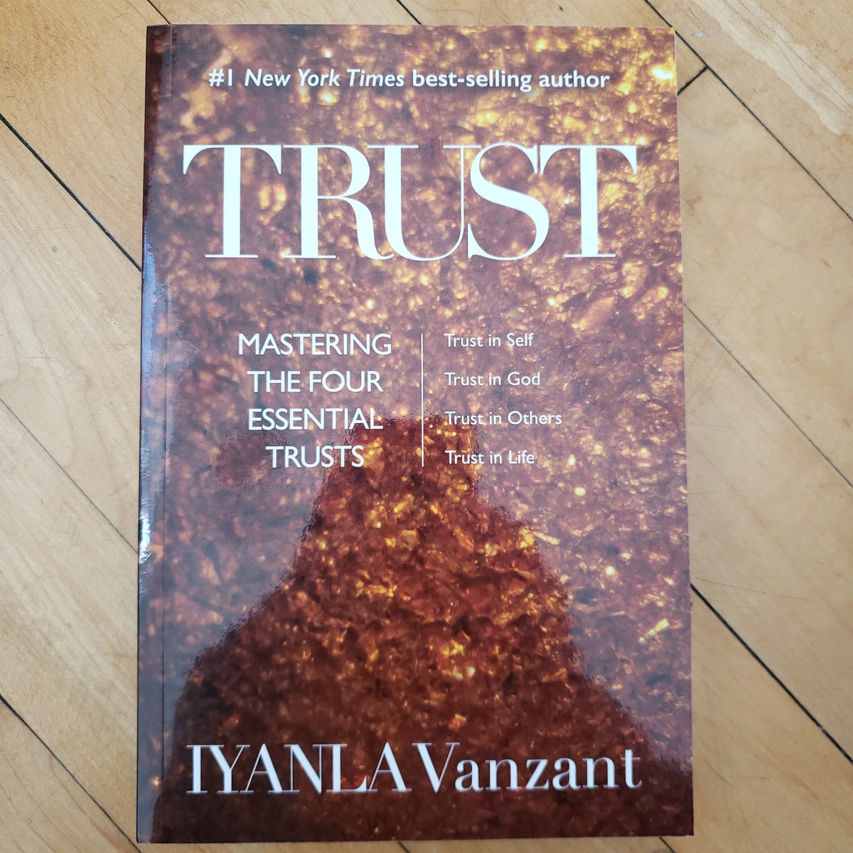 Trust by Iyanla Vanzant, Paperback | Pangobooks