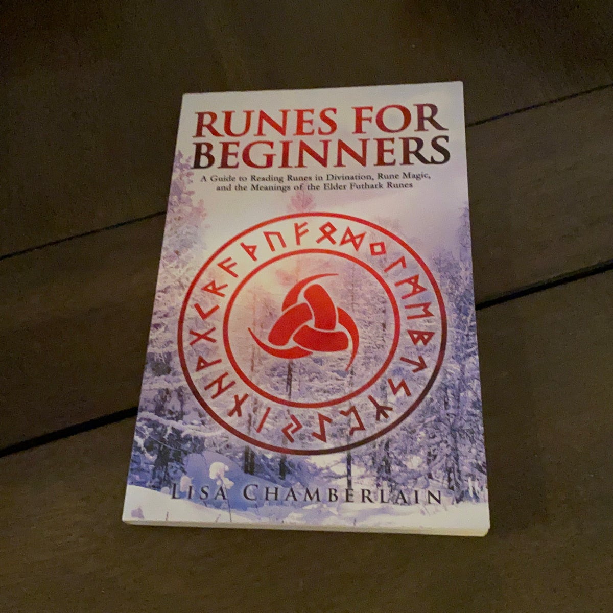 Runes for Beginners by Lisa Chamberlain