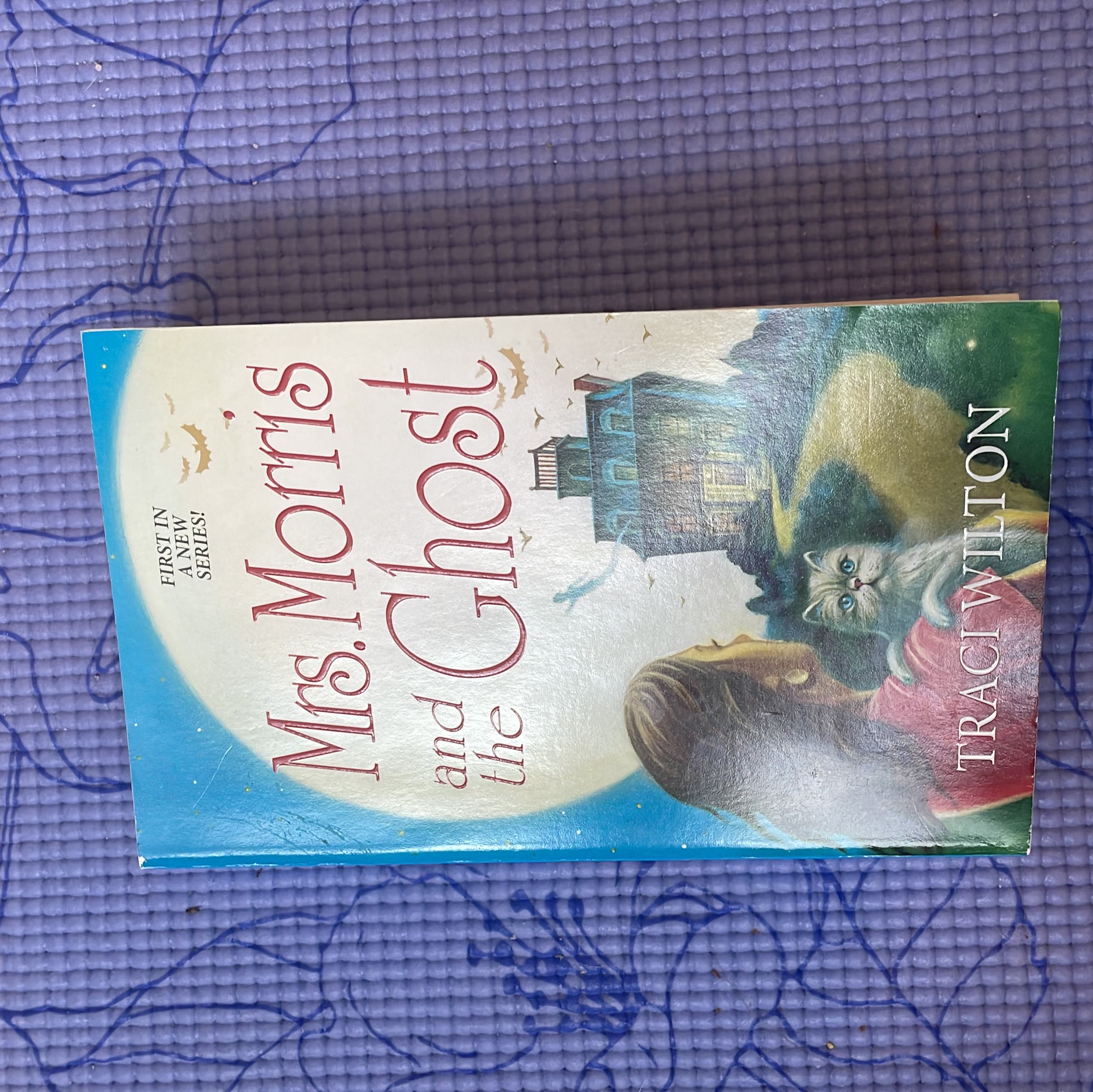 Mrs. Morris and the Ghost by Traci Wilton