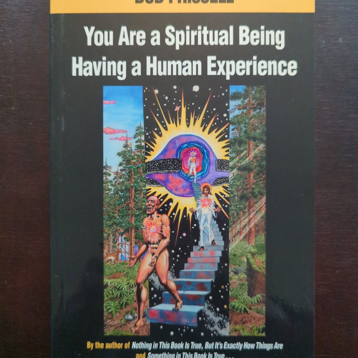 You Are a Spiritual Being Having a Human Experience by Bob Frissell