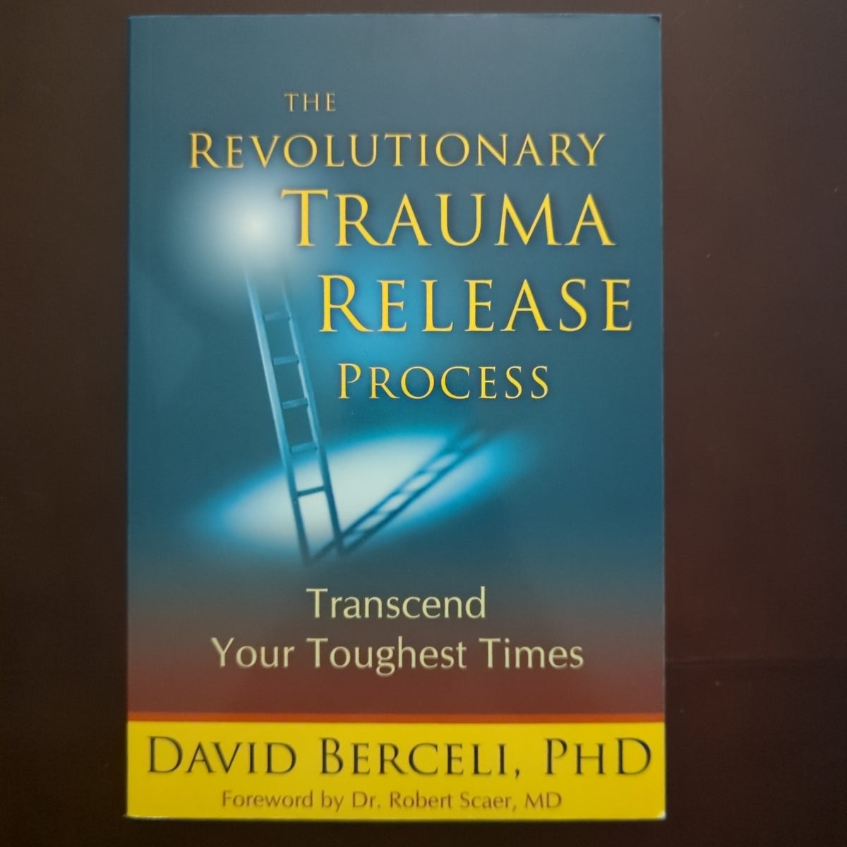 The Revolutionary Trauma Release Process by David Berceli