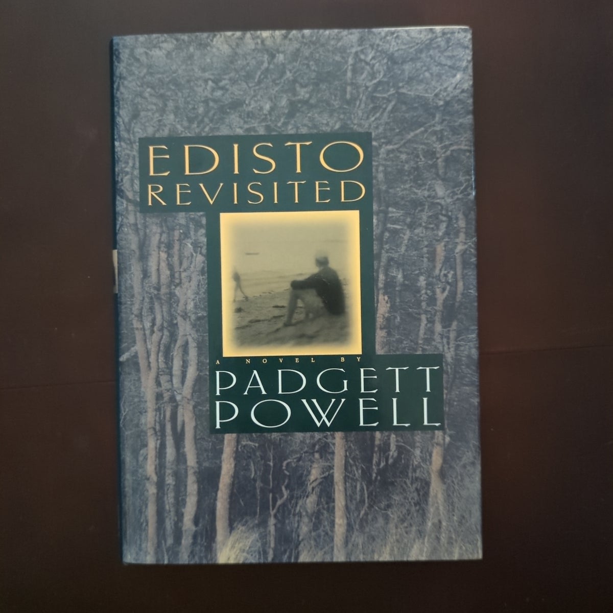 Edisto Revisited by Padgett Powell