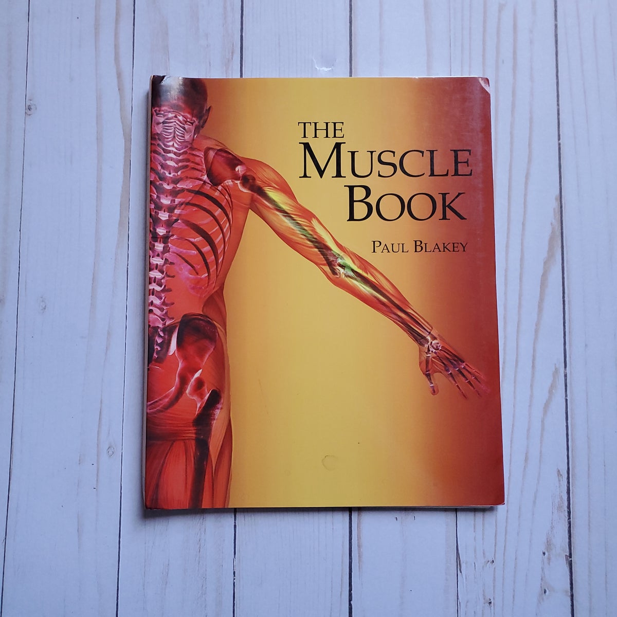 The Muscle Book by Paul Blakely