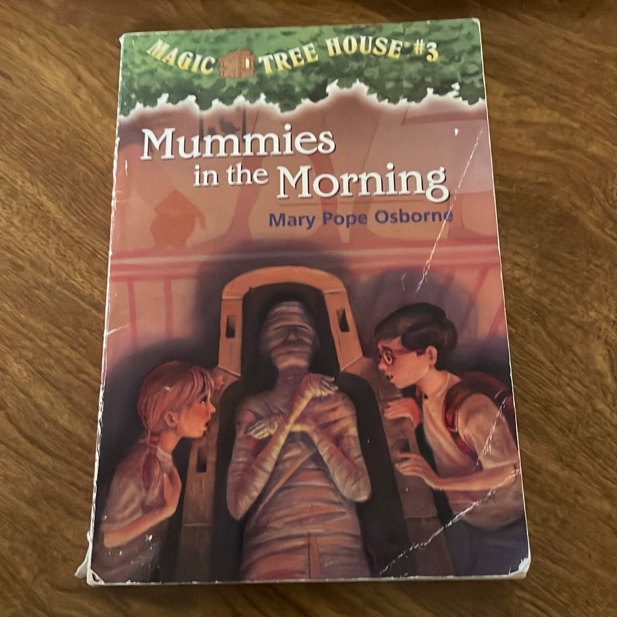 Magic Tree House by Mary Pope Osborne , Paperback | Pangobooks