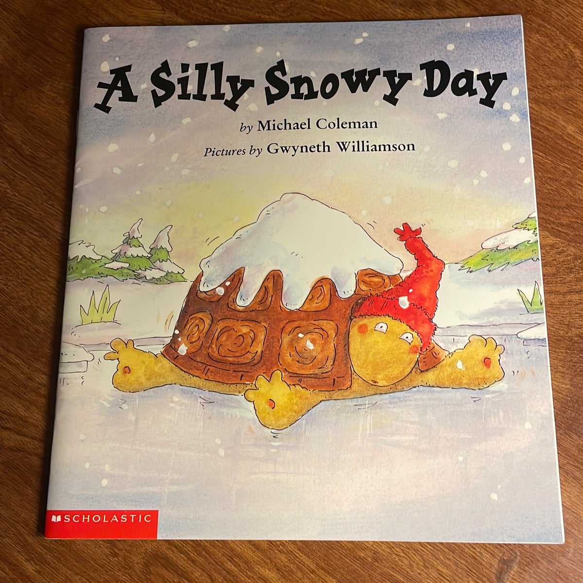 A Silly Snowy Day by Michael Coleman
