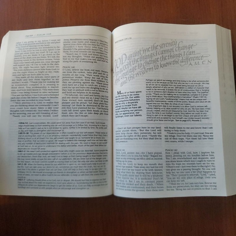 The Life Recovery Bible (Twelve Step) by Steven Arterburn and David ...