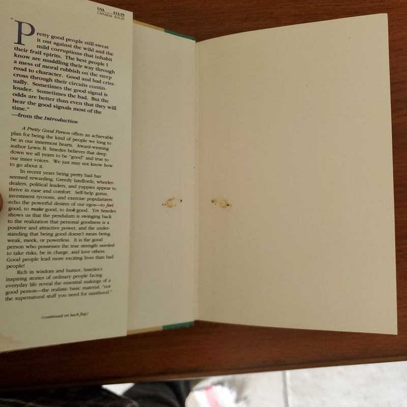 A Pretty Good Person by Lewis B. Smedes