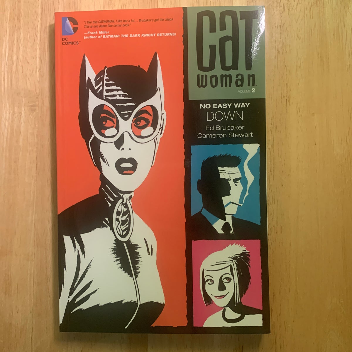 Catwoman - No Easy Way Down by Cameron Stewart, Ed Brubaker, Dan Davis ...