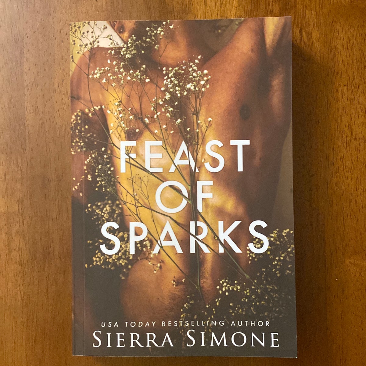 Feast of Sparks by Sierra Simone