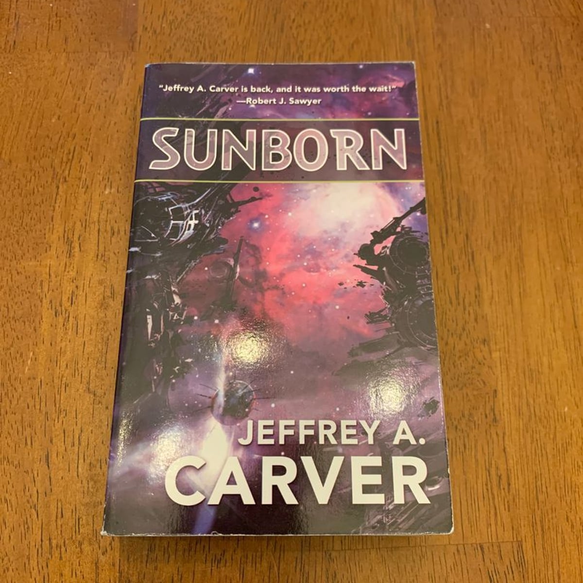 Sunborn by Jeffrey A. Carver, Paperback | Pangobooks