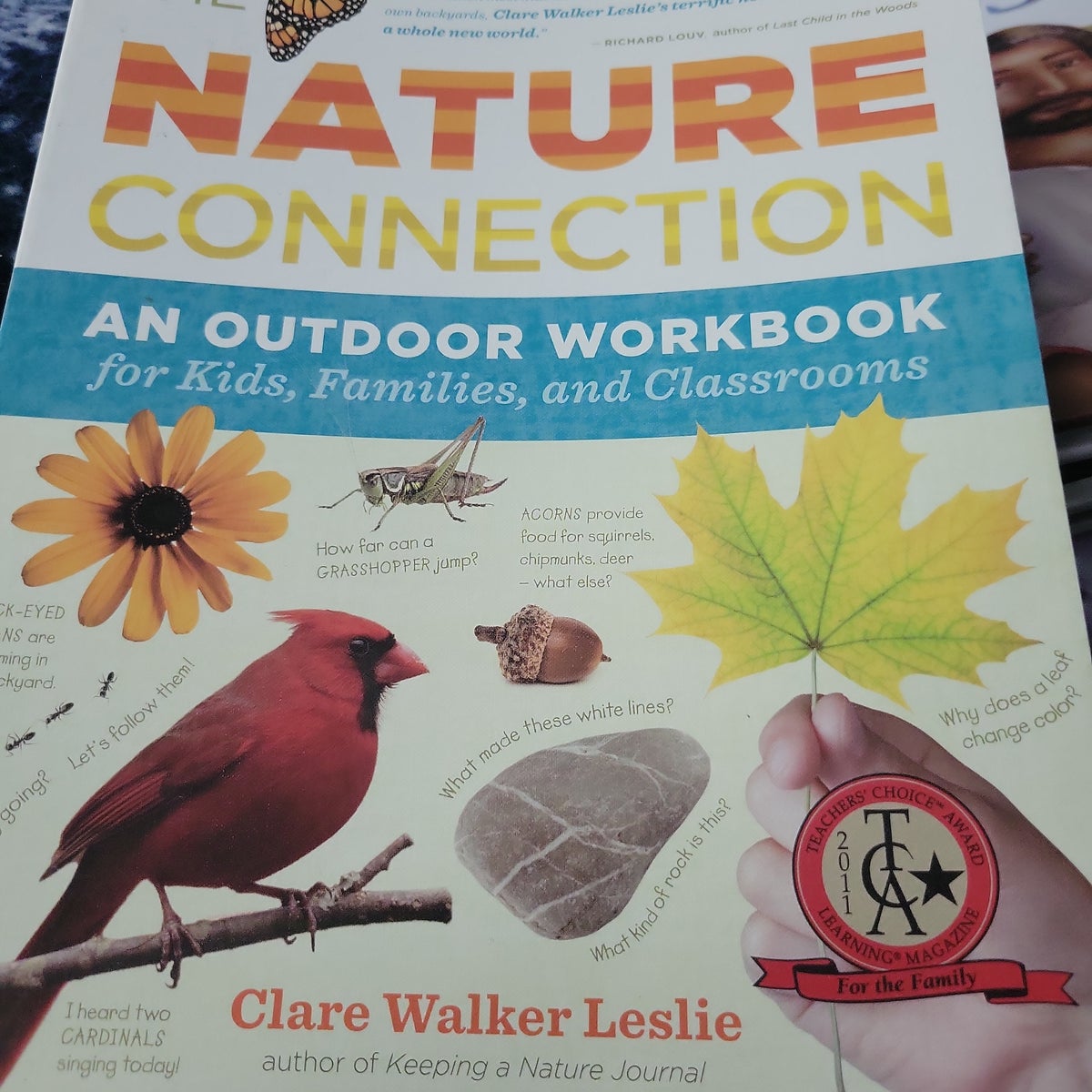 The Nature Connection by Clare Walker Leslie, Paperback | Pangobooks