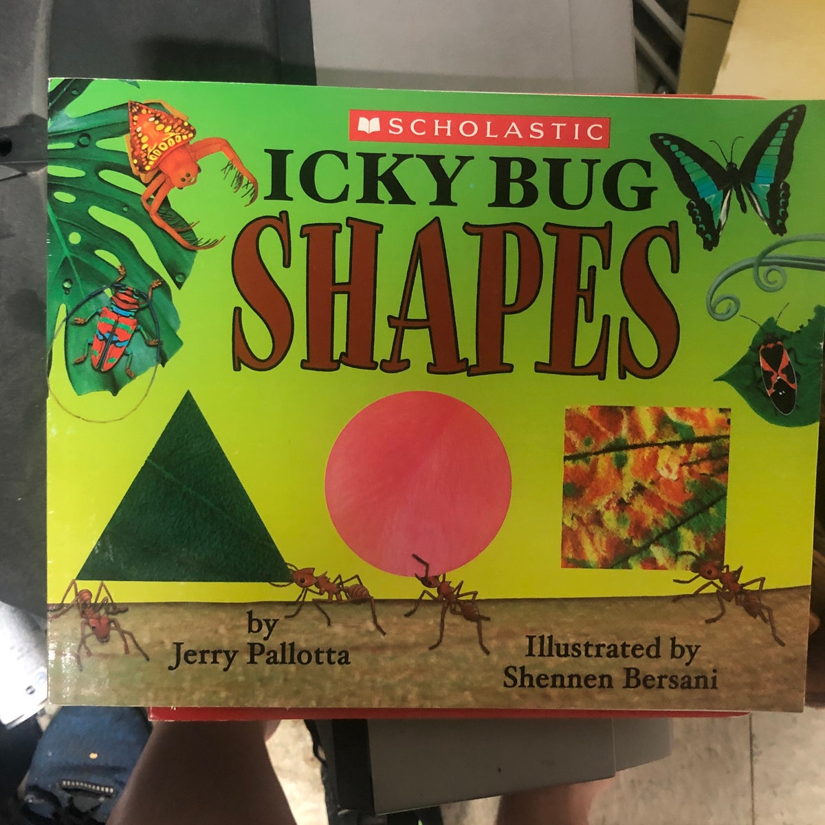 Icky Bug Shapes by Jerry Pallotta