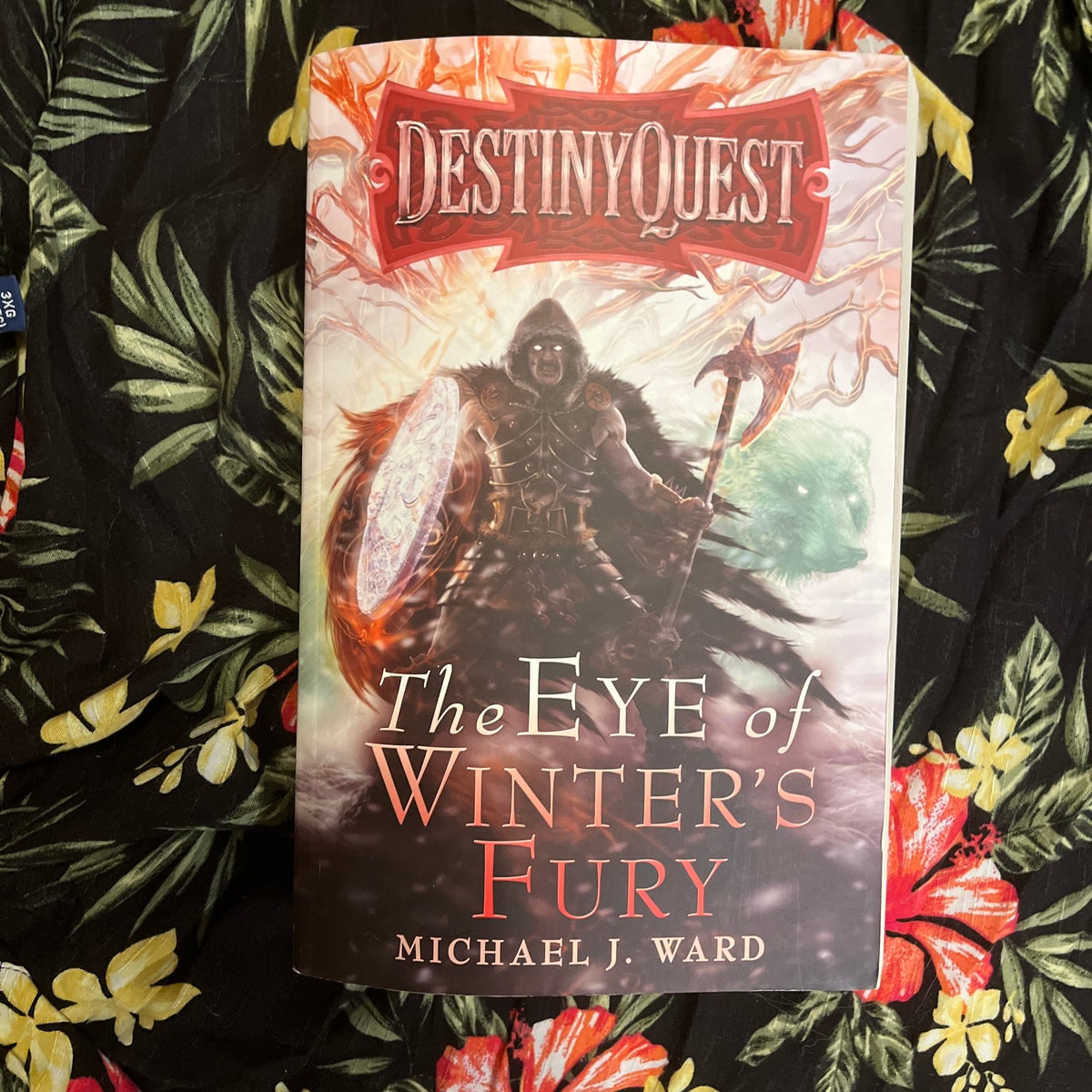 The Eye of Winter's Fury by Michael J. Ward
