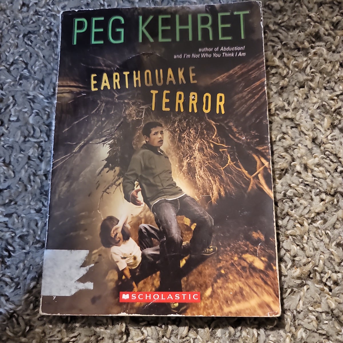 Earthquake Terror by Peg Kehret, Paperback | Pangobooks