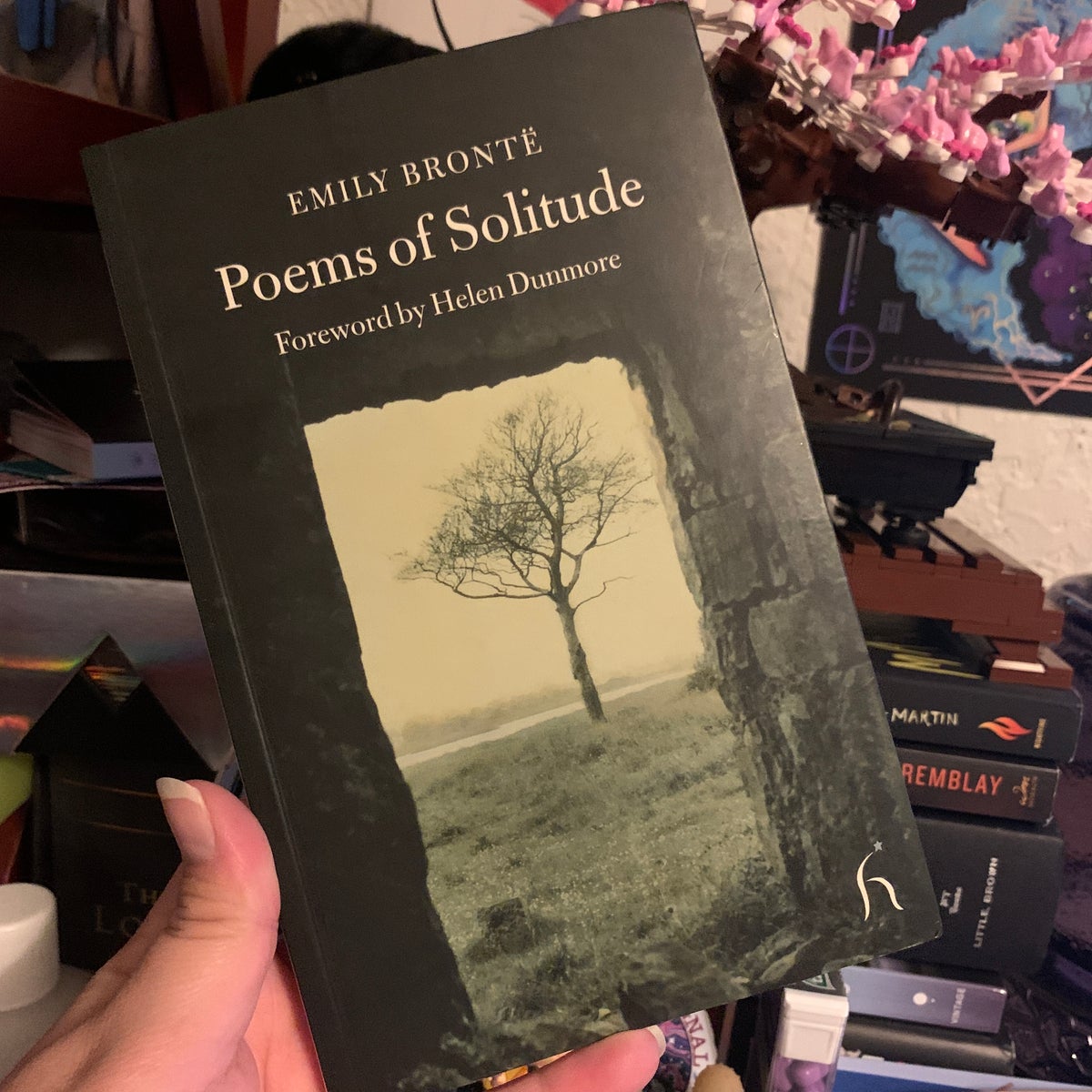 Poems of Solitude by Emily Brontë, Helen Dunmore