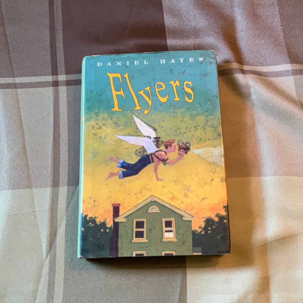 Flyers by Daniel Hayes, Hardcover | Pangobooks
