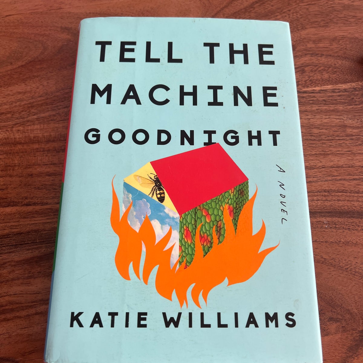 Tell the Machine Goodnight by Katie Williams, Hardcover | Pangobooks