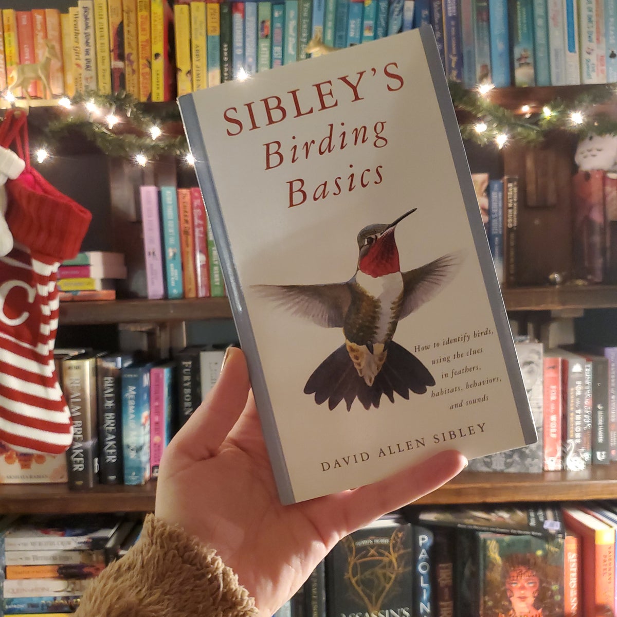 Sibley's Birding Basics