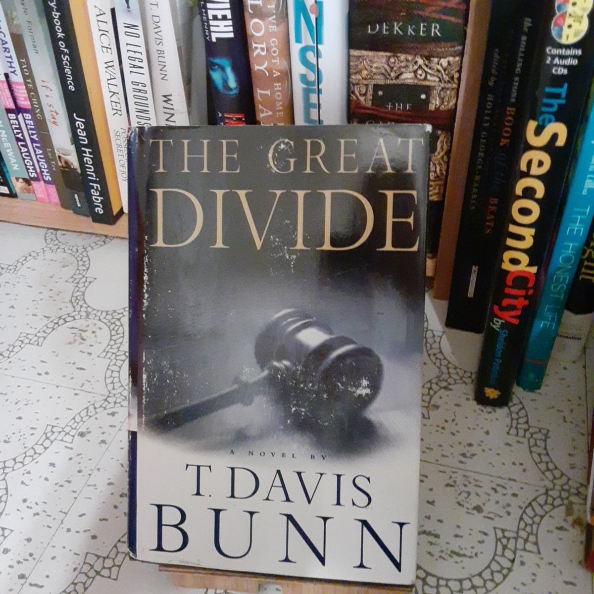 The Great Divide by T. Davis Bunn | Pangobooks