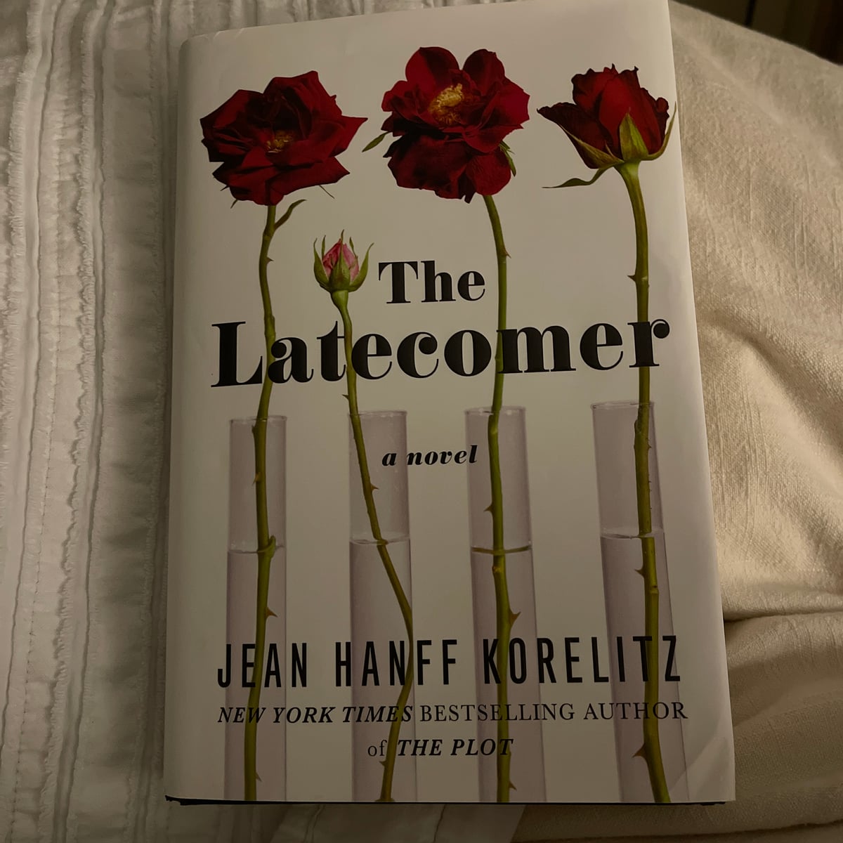 The Latecomer by Jean Hanff Korelitz, Hardcover | Pangobooks